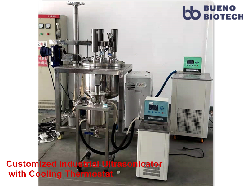 Ultrasonic Reactor(5L~500L)